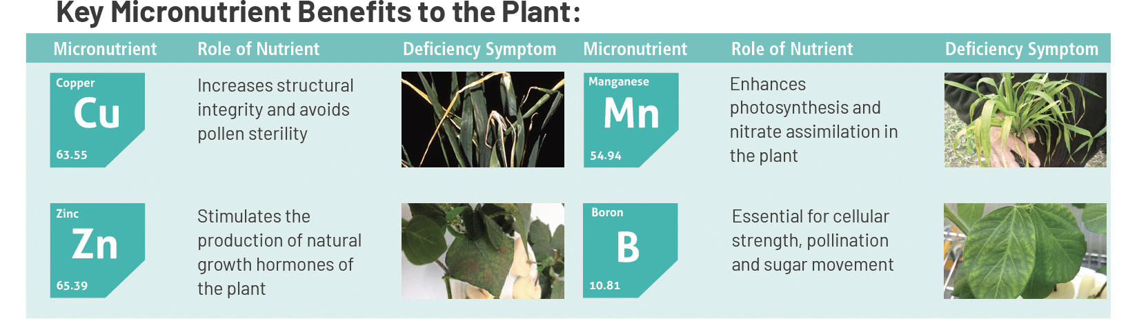 Kinetic® - ATP Ag - Restoring the Balance