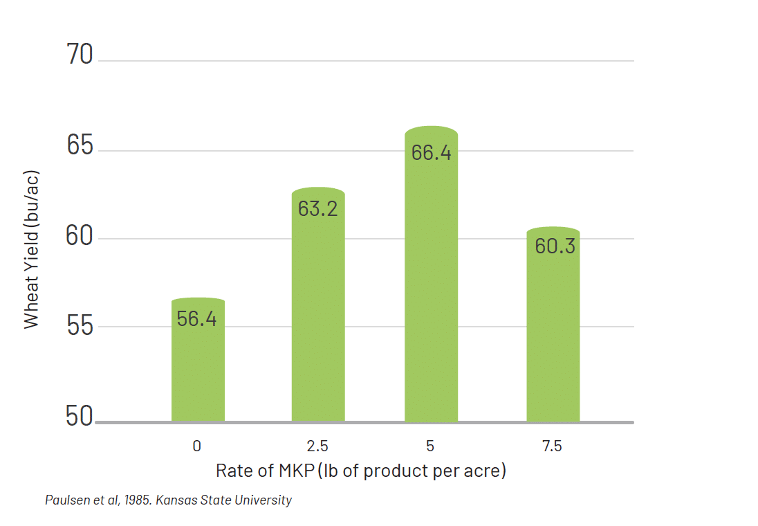 MKP - ATP Ag - Restoring the Balance