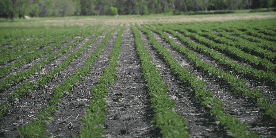 Cold Start Your Crop with PreCede - ATP Ag - Restoring the Balance