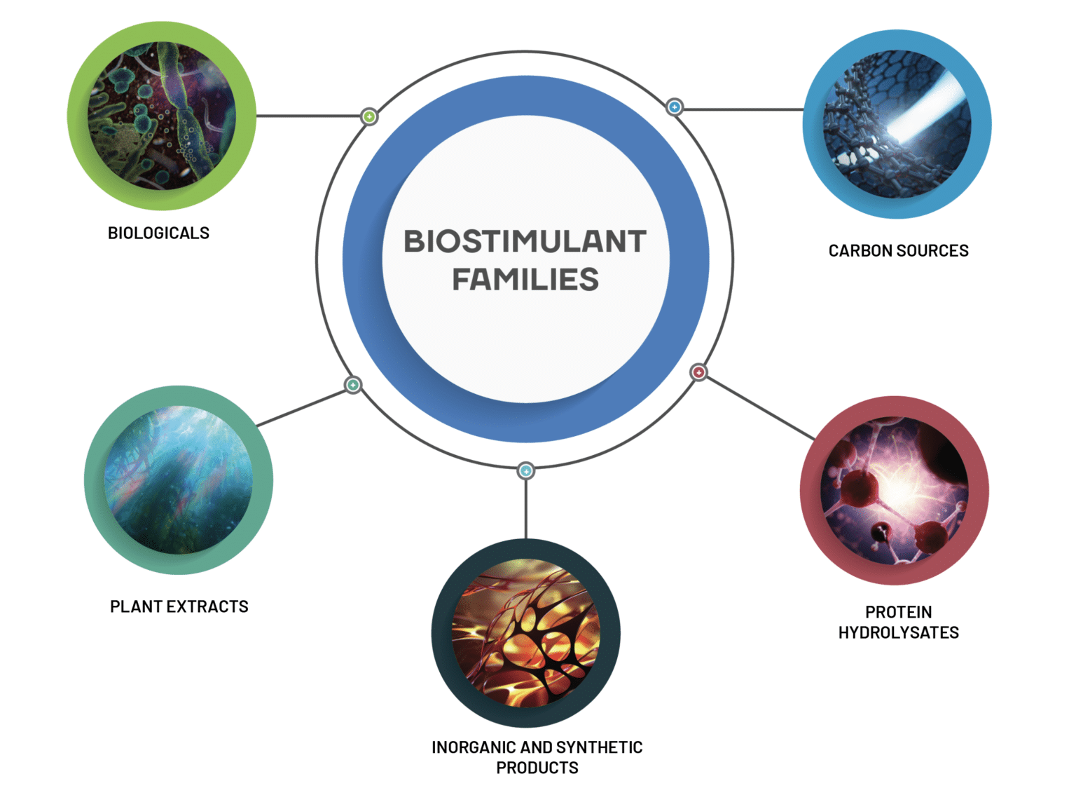 Biostimulants - ATP Ag - Restoring the Balance