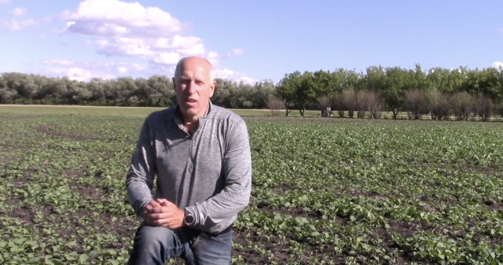 Are your crops stressed? - ATP Ag - Restoring the Balance