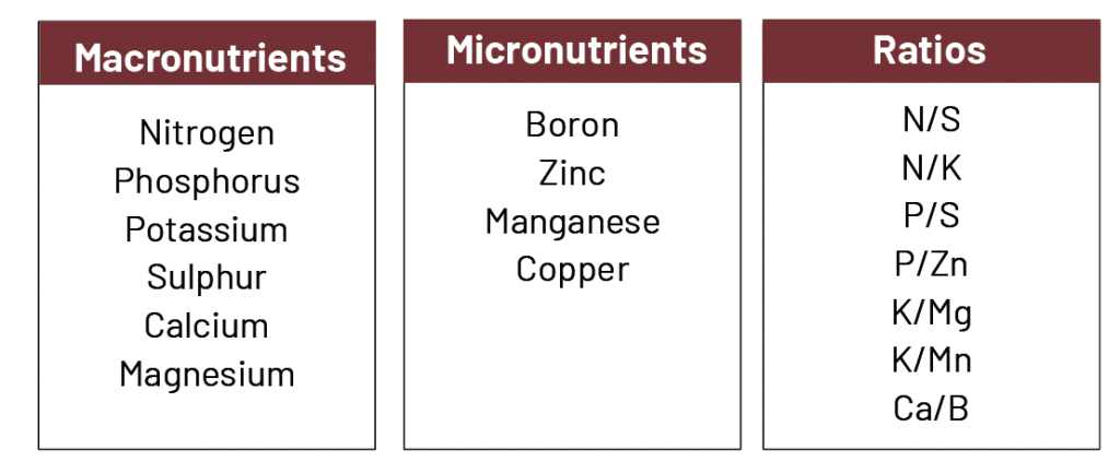 NutriScan Leaf Tissue Analytics - ATP Ag - Restoring the Balance
