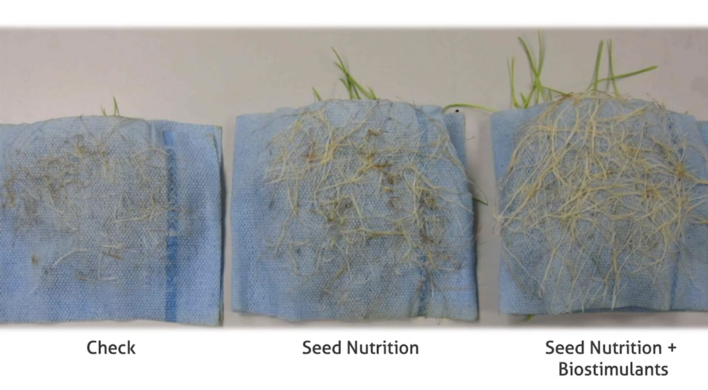 SoyGreen® - ATP Ag - Restoring the Balance